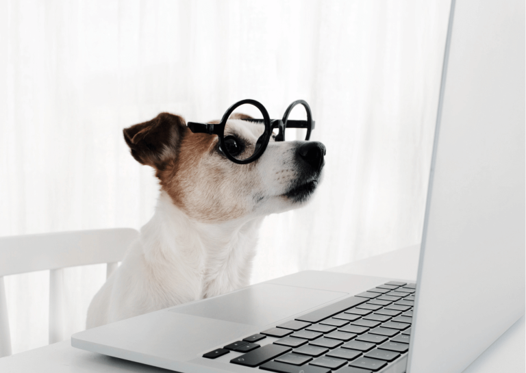 Careers at My RIA Lawyer - Join our Compliance Nerds!